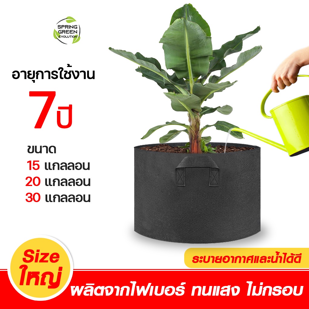 Spring Green Evolution กระถางผ้าปลูกต้นไม้ 30Gallon - บริษัท สปริงกรีนอีโวลูชั่น จำกัด - ThaiPick